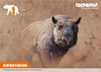 Diprotodon optatum – Eromanga